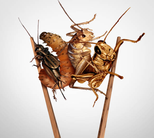 Chicago Man Addicted to Eating Live Bugs Cuts Back After Health ...